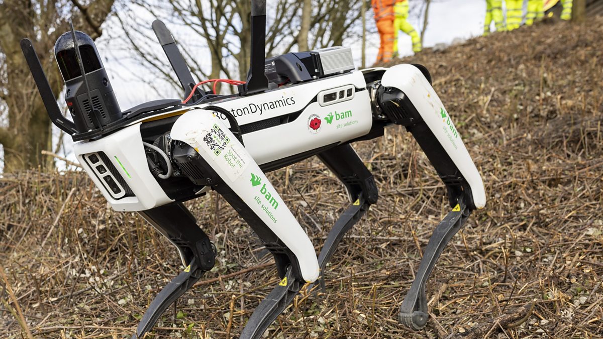 BBC Radio Devon - Caroline Densley, 'Spot' the robotic dog has been ...