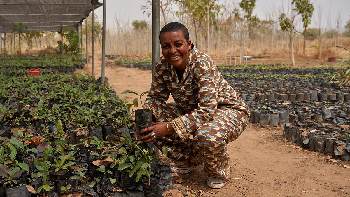BBC Radio 4 - Radio 4 Appeal, Tree Aid