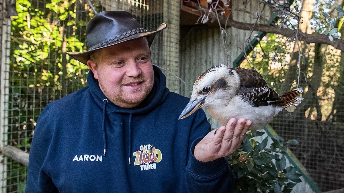 One Zoo Three - Series 4: 4. New Habitats - BBC iPlayer