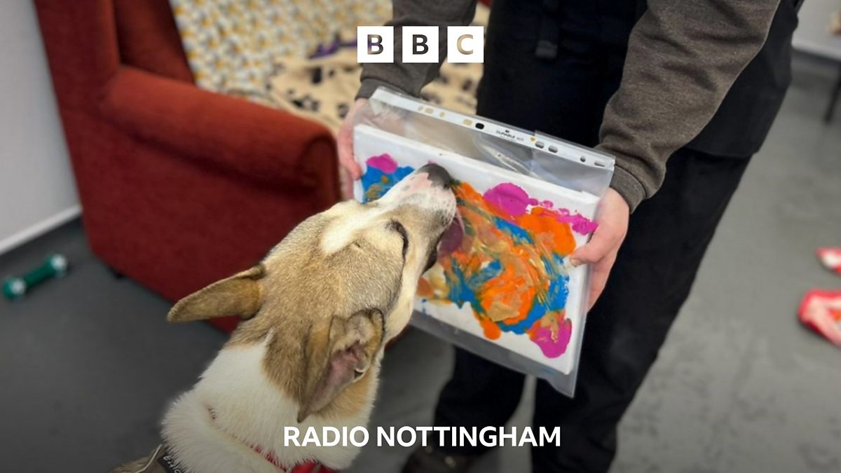 BBC Radio Nottingham - BBC Radio Nottingham, Meet the rescue dogs ...