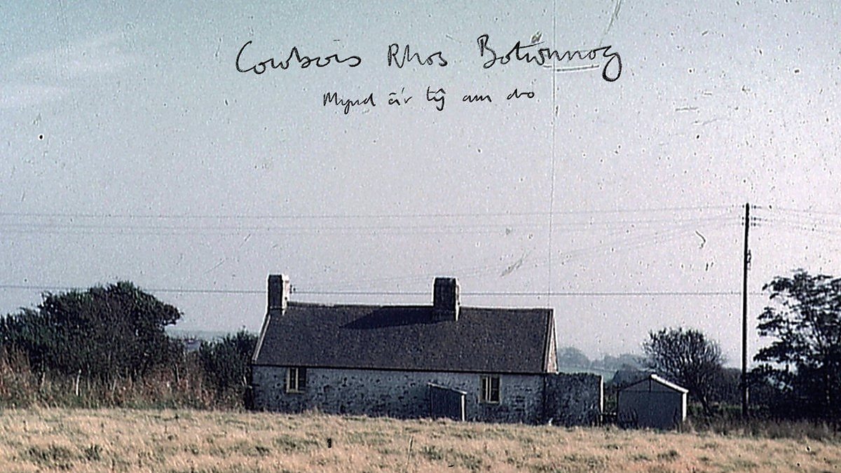 BBC Radio Cymru - Rhys Mwyn, Albym newydd Cowbois Rhos Botwnnog