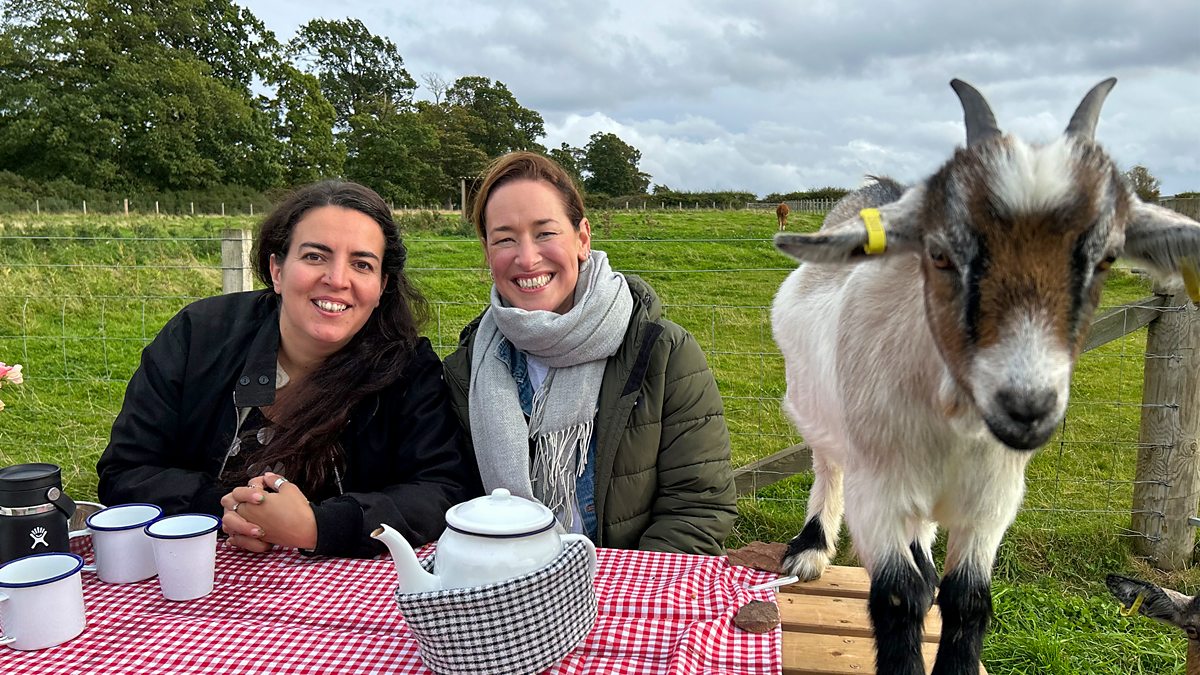 Scotlands Greatest Escape - Series 2: 3. Budget Friendly - Signed - BBC ...