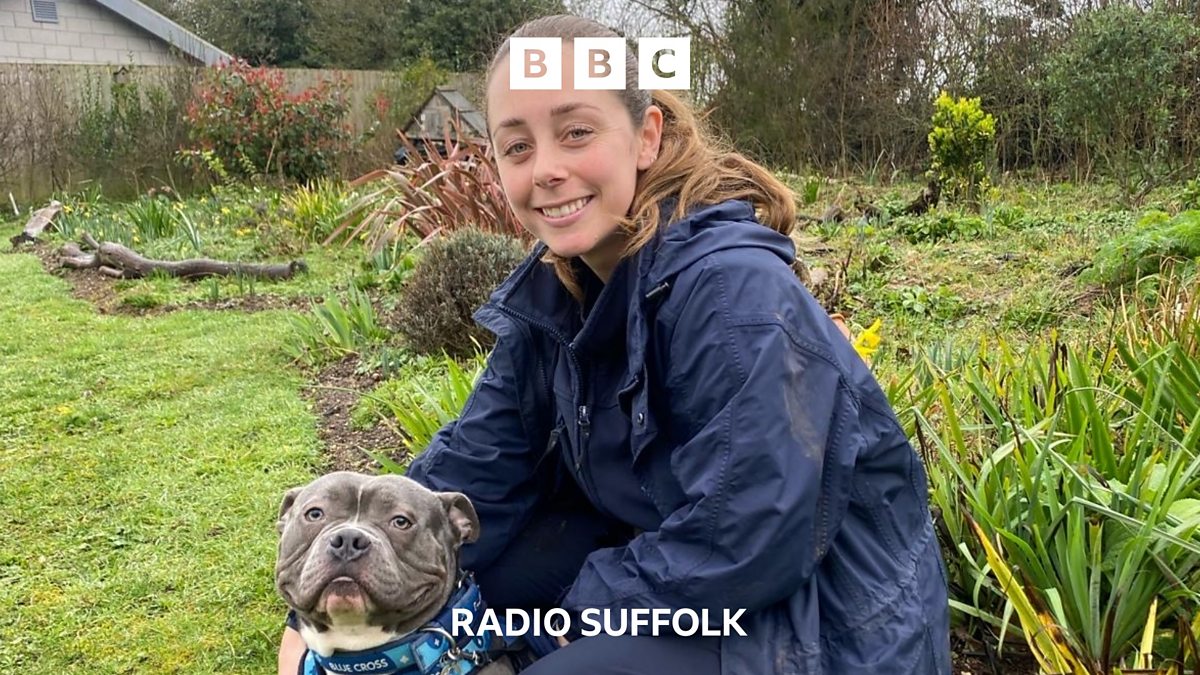 BBC Radio Suffolk - BBC Radio Suffolk, Suffolk Blue Cross: Could you ...