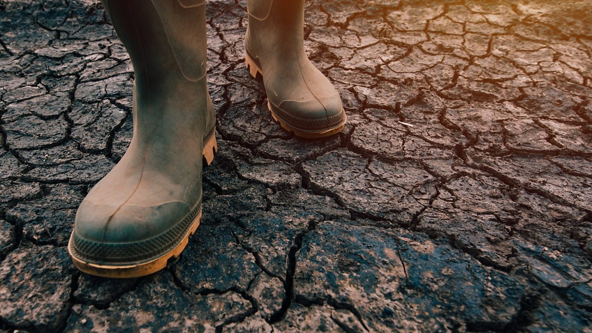 BBC World Service - Business Daily, How are farmers adapting to climate ...