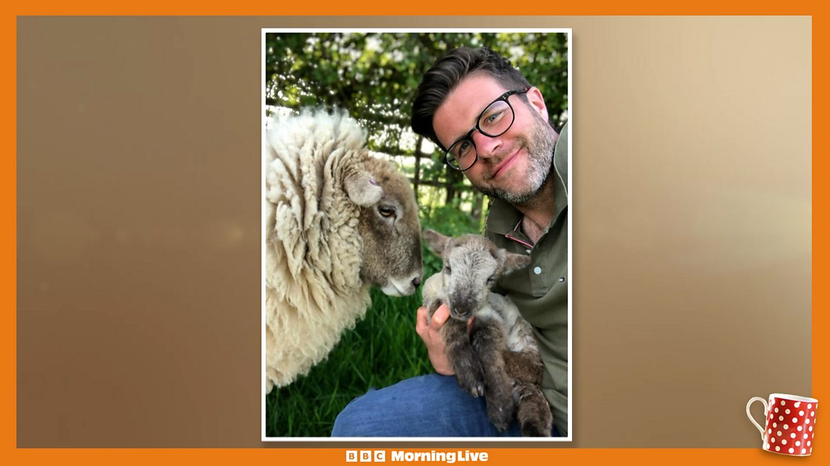 BBC One - Morning Live, How to walk your dog safely