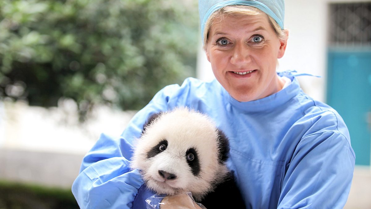 BBC One - Operation Wild