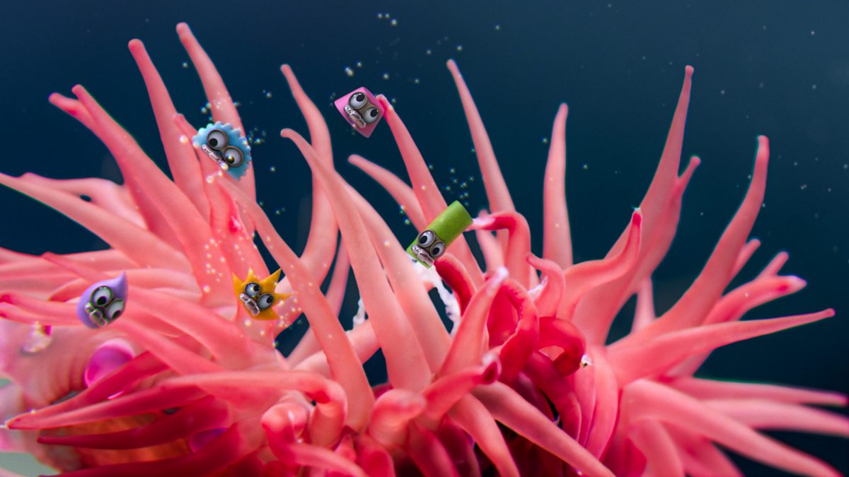 Tiny Wonders - Series 3: 1. Sea Anemone - BBC iPlayer