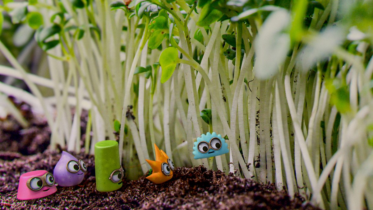 Tiny Wonders - Series 3: 2. Cress - BBC iPlayer