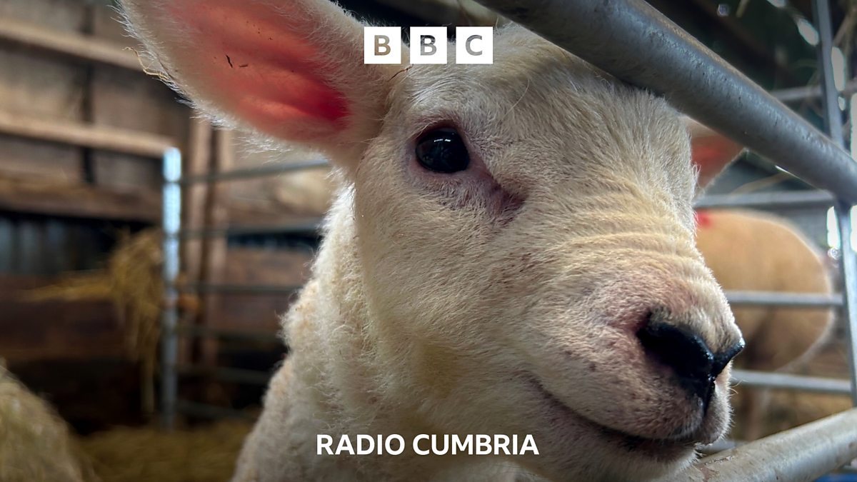 BBC Radio Cumbria - BBC RADIO CUMBRIA, Inside Katie's Dufton farm pet ...