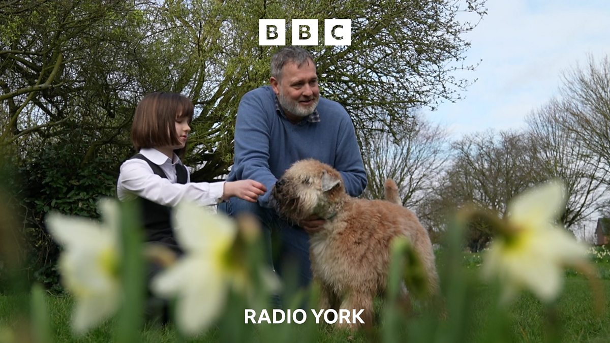 BBC Radio York - BBC Radio York, Crufts success for North Yorkshire pup