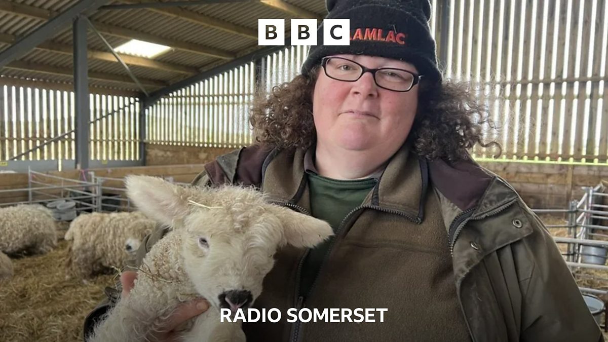 BBC Radio Somerset - BBC Radio Somerset, The virus wiping out lambs