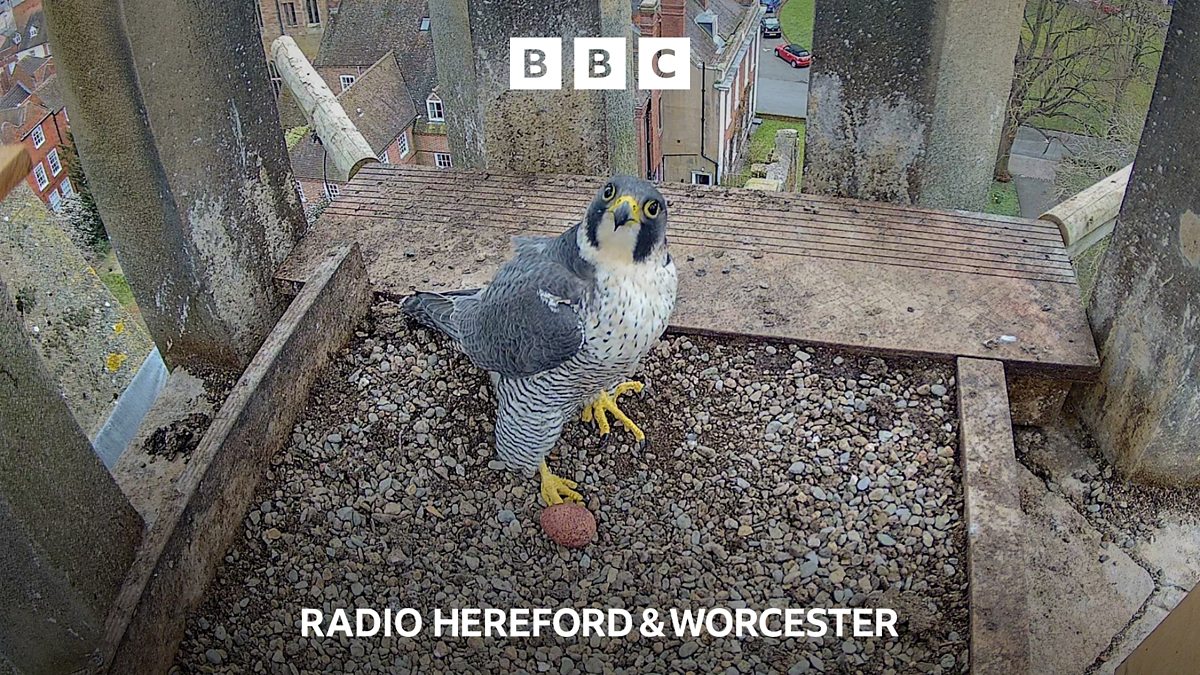 BBC Hereford & Worcester - BBC Hereford & Worcester, Worcester’s winged ...