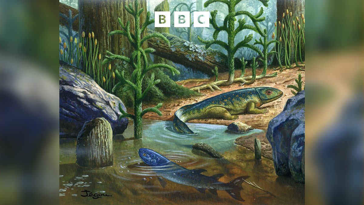 BBC World Service - The History Hour, Finding early vertebrate’s ...