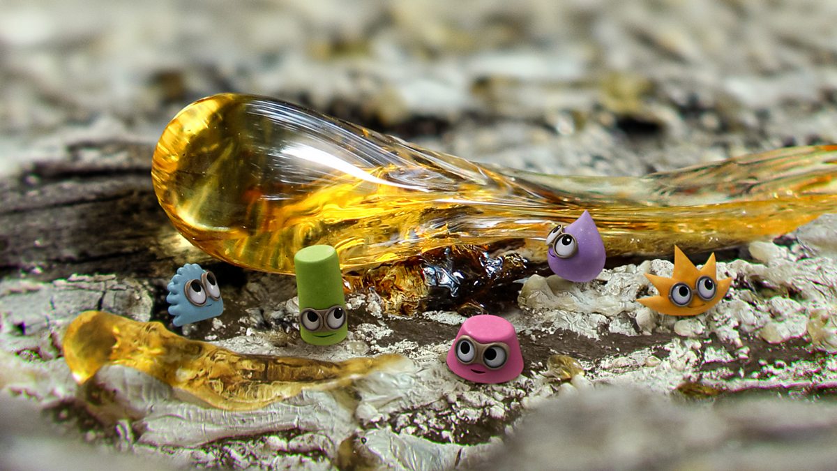 Tiny Wonders - Series 3: 7. Tree Sap - BBC iPlayer