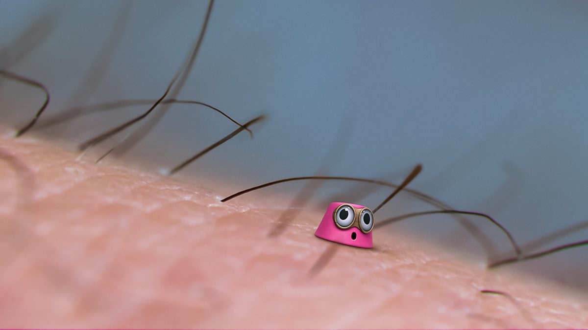 Tiny Wonders - Series 3: 8. Hair - BBC iPlayer