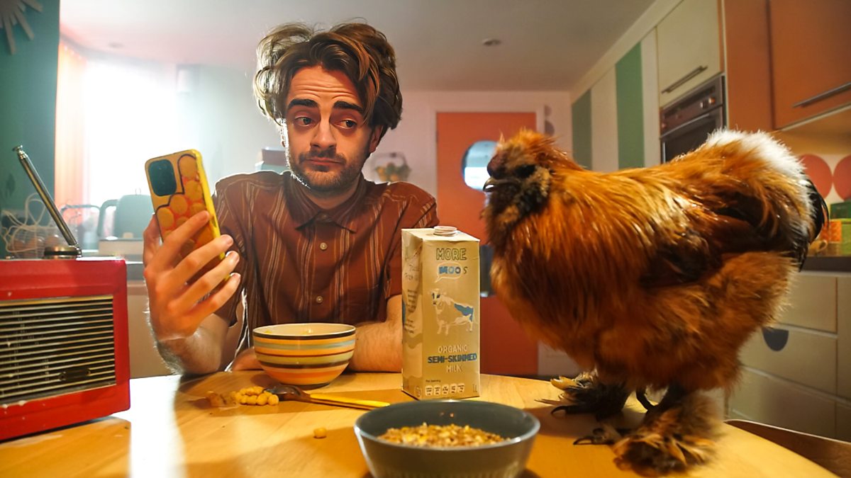 BBC Comedy Short Films - Quiet Life - BBC iPlayer