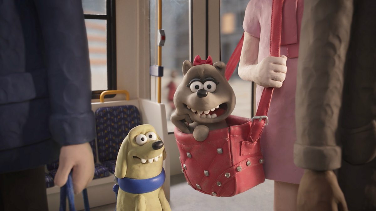 BBC - Media Centre Clips, Things We Love - Handbag Dog