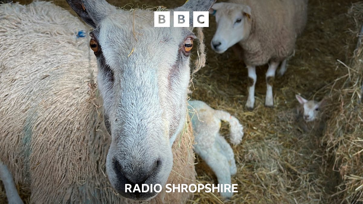 BBC Radio Shropshire - BBC Radio Shropshire, Farmers concerned after ...