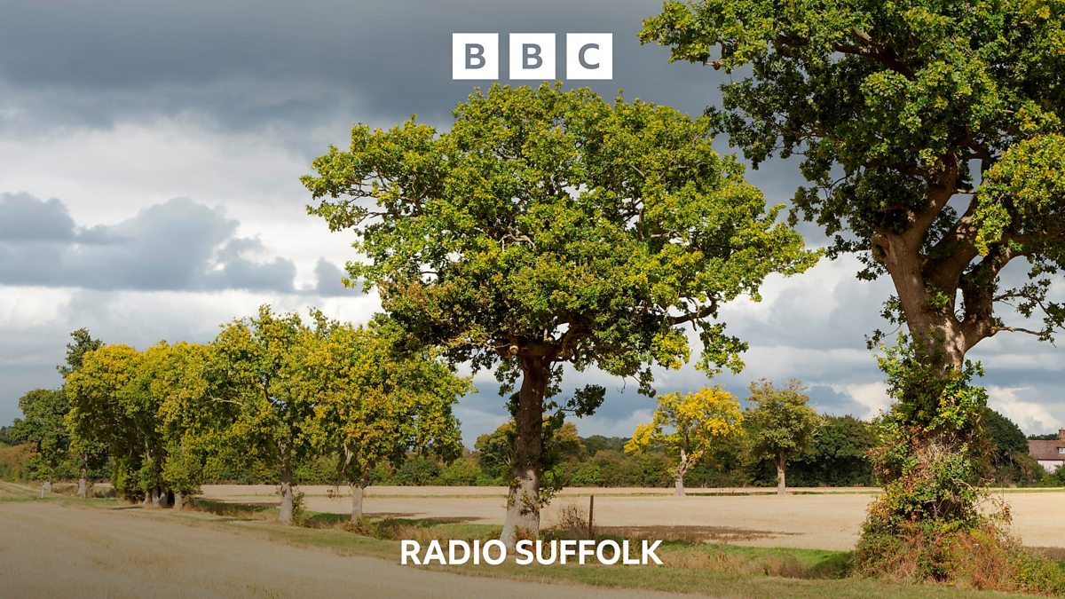 BBC Radio Suffolk - BBC Radio Suffolk, Oak trees needed for Anglo-Saxon ...