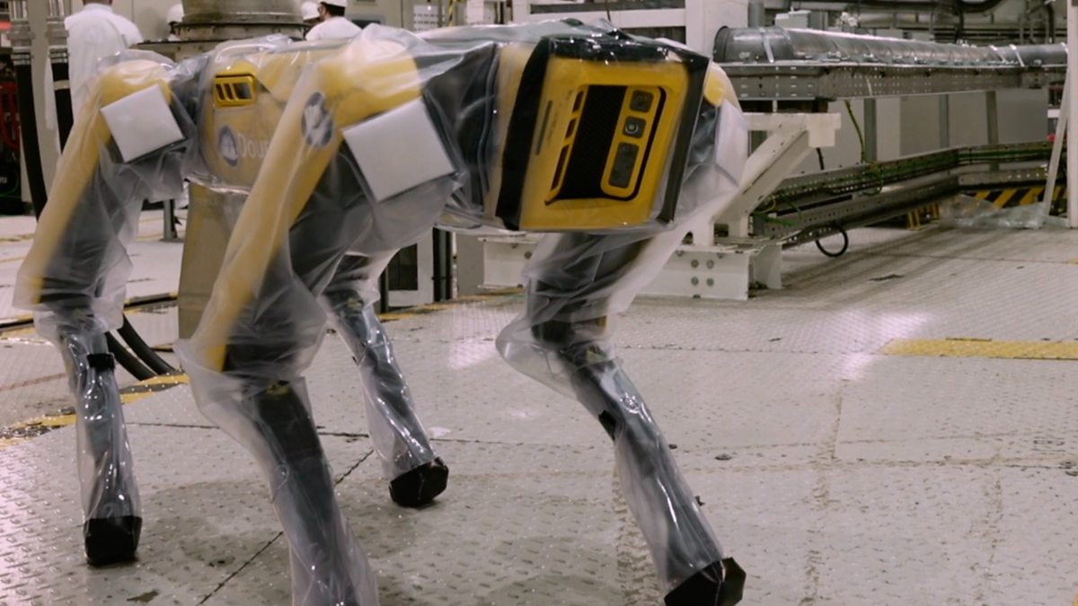 BBC World Service - Tech Life, Tech Life meets Spot the robot