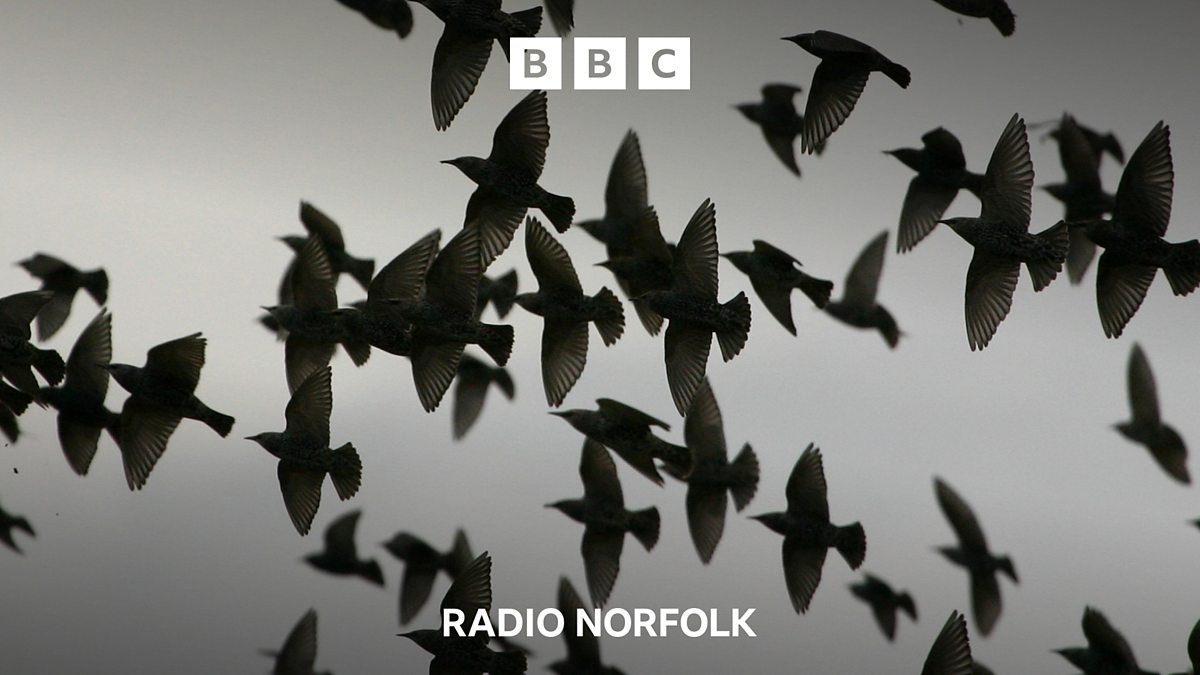 BBC Radio Norfolk - BBC Radio Norfolk, The Norfolk street menaced by ...