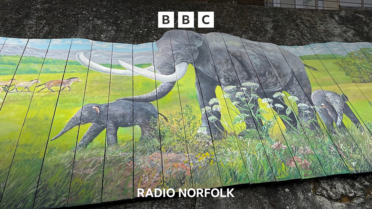 BBC Radio Norfolk - BBC Radio Norfolk, Sheringham’s mammoth ice age mural