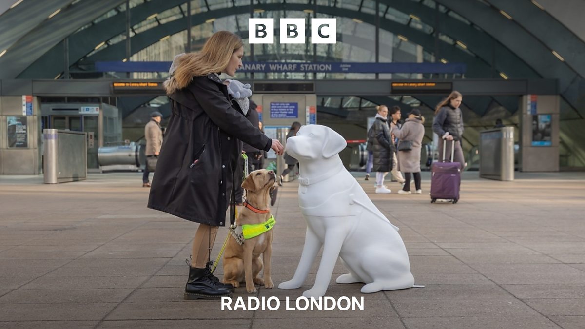 BBC Radio London - BBC Radio London, Why have 25 dog statues popped up ...