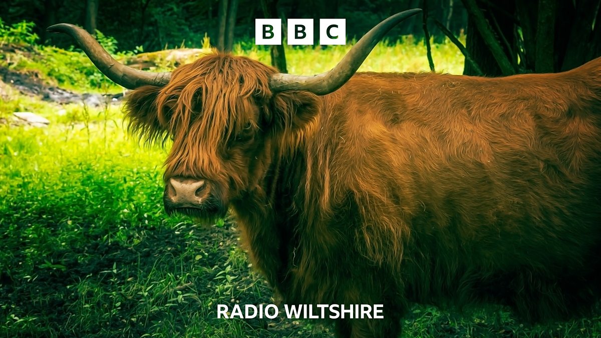 BBC Radio Wiltshire - BBC Radio Wiltshire, Wiltshire Wonders: Amesbury ...