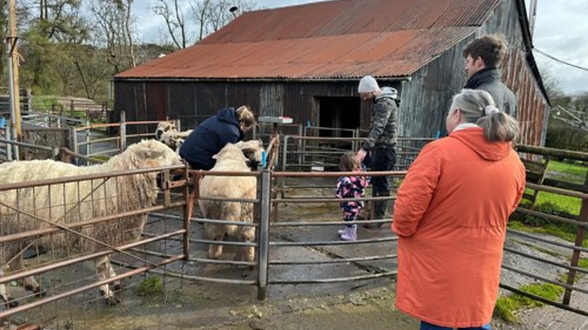 BBC Radio 4 - Farming Today, Easter Farm Holidays, Farming Today_TX ...