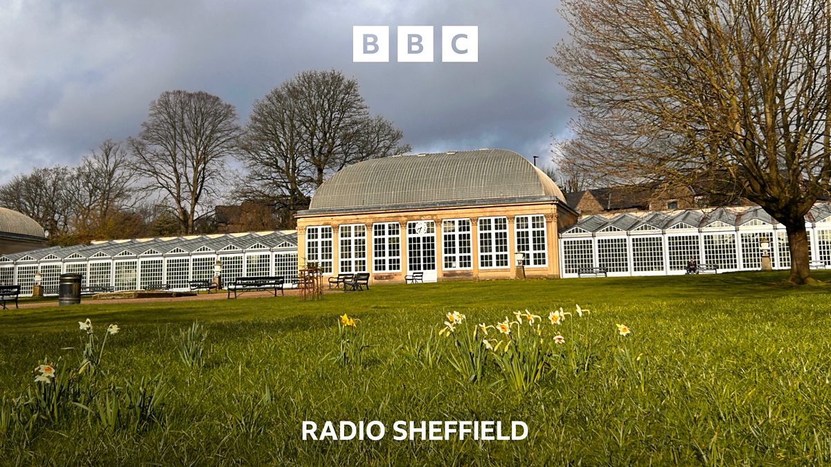 BBC Radio Sheffield - BBC Radio Sheffield, Blue Plaque for Sheffield’s ...
