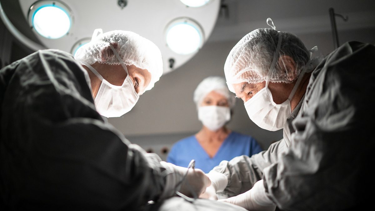 BBC World Service - Health Check, Pig kidney transplanted into patient