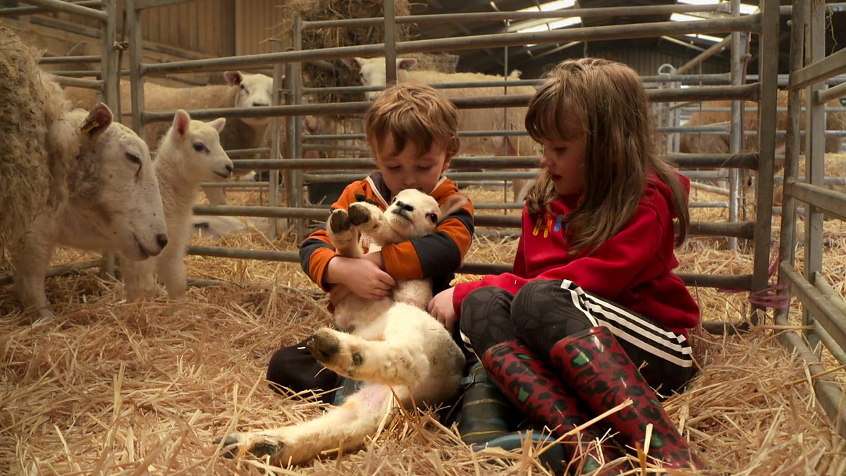 S4C - Ffermio, Teulu Shadog: Tymhorau'r Flwyddyn c)