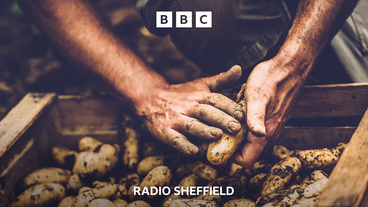 BBC Radio Sheffield - BBC Radio Sheffield, Sheffield farmer says ta-ta ...