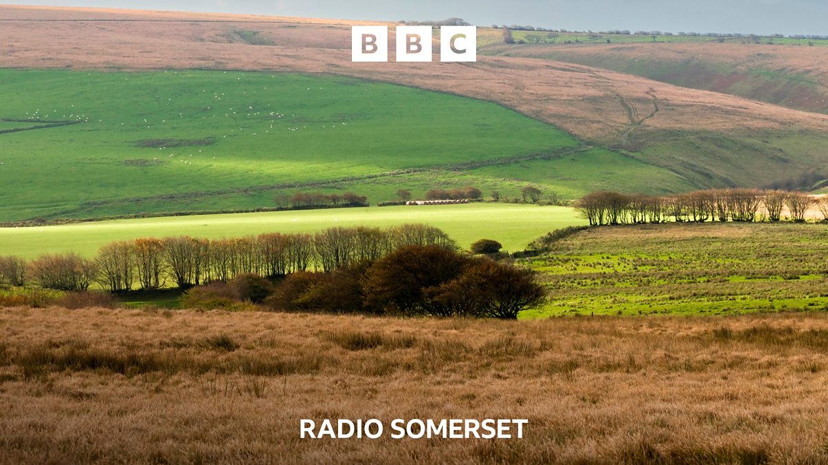 BBC Radio Somerset - BBC Radio Somerset, Are there panthers or pumas prowling on Exmoor?