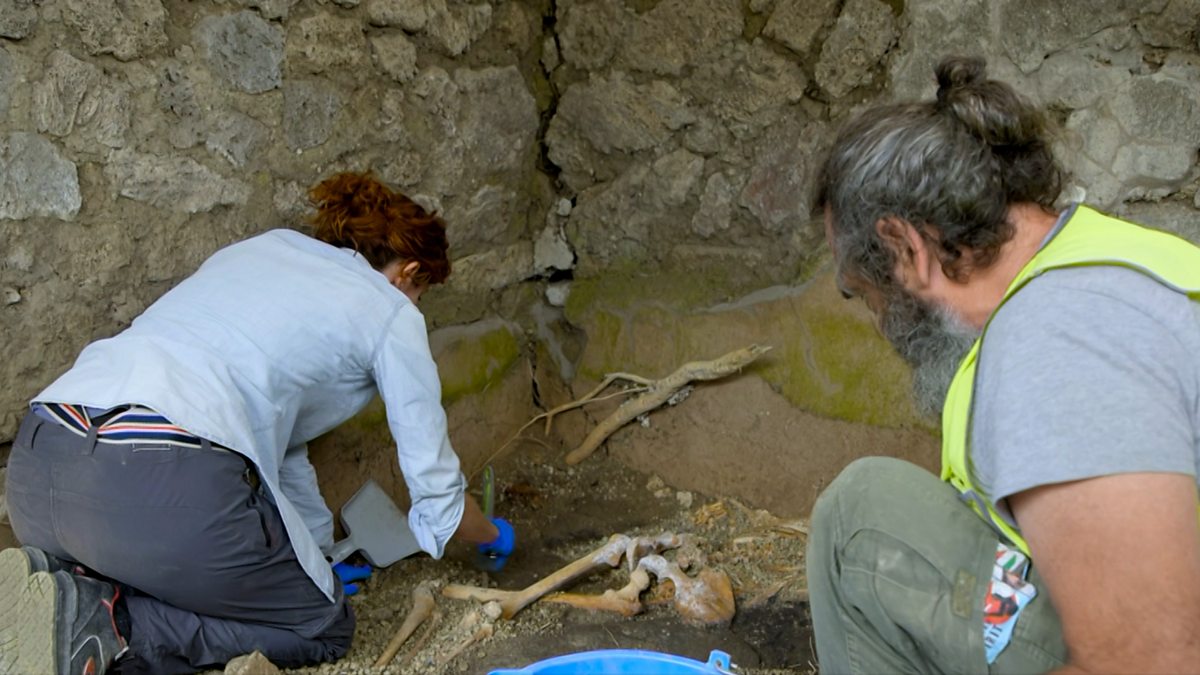 BBC Two - Pompeii: The New Dig, Series 1, The Bodies, A discovery of ...