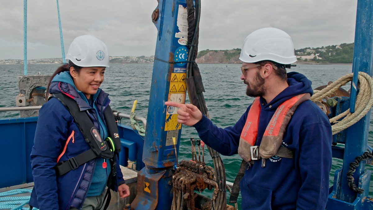 BBC One - Our Changing Planet, Restoring Our Reefs, Reviving Torbay's ...