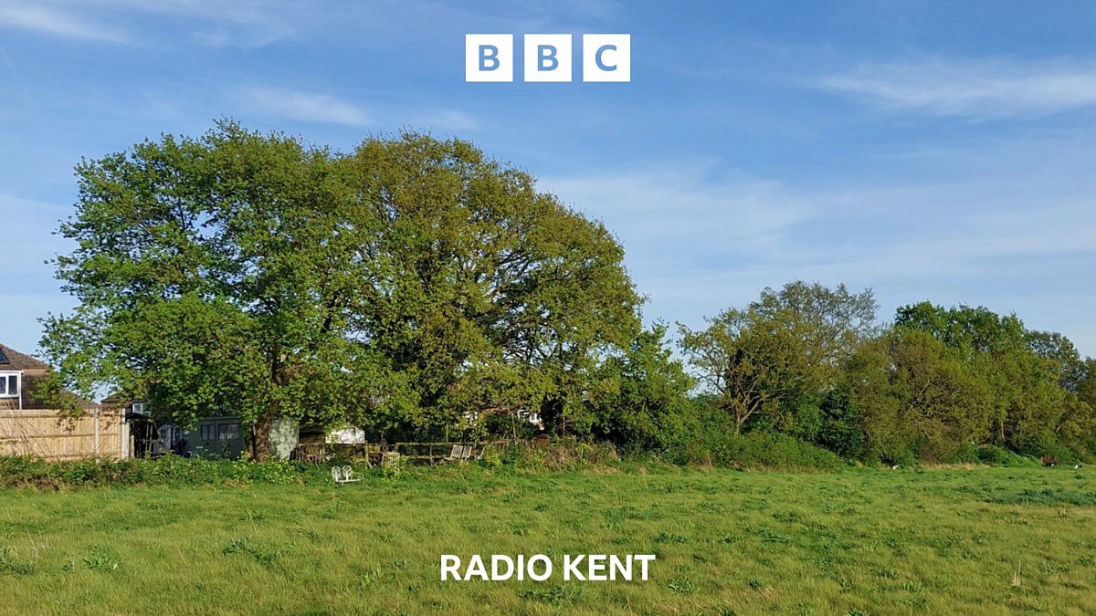 BBC Radio Kent - BBC Radio Kent, What should happen to Hoo's protected ...