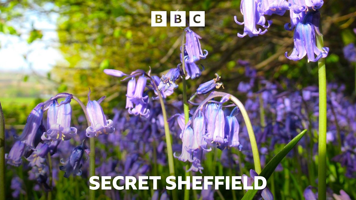 BBC Radio Sheffield - BBC Radio Sheffield, Secret Sheffield: Brimming ...