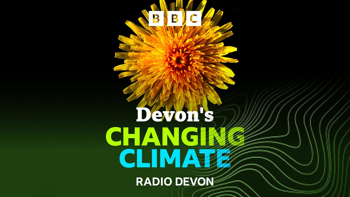 BBC Radio Devon - BBC Radio Devon, Bad news for hay fever sufferers?