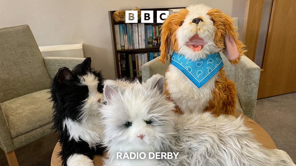 BBC Radio Derby - BBC Radio Derby, Robot cats and dogs at Spondon care home