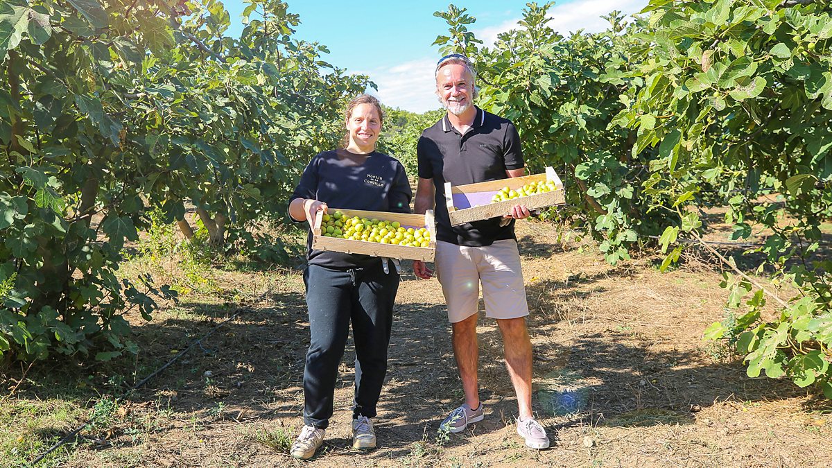 Marcus Wareing Simply Provence - Series 1: Episode 9 - BBC iPlayer