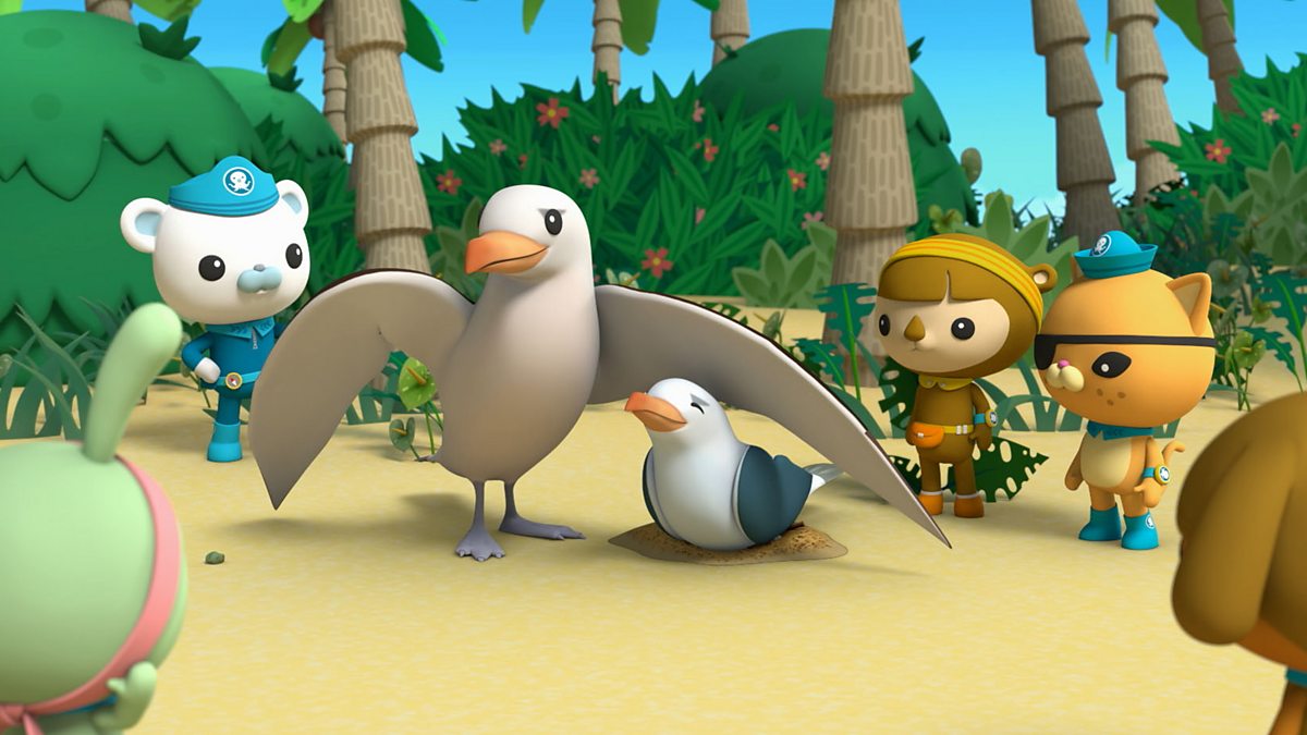Octonauts: Above & Beyond - Series 2: 2. Stubborn Albatross - BBC iPlayer