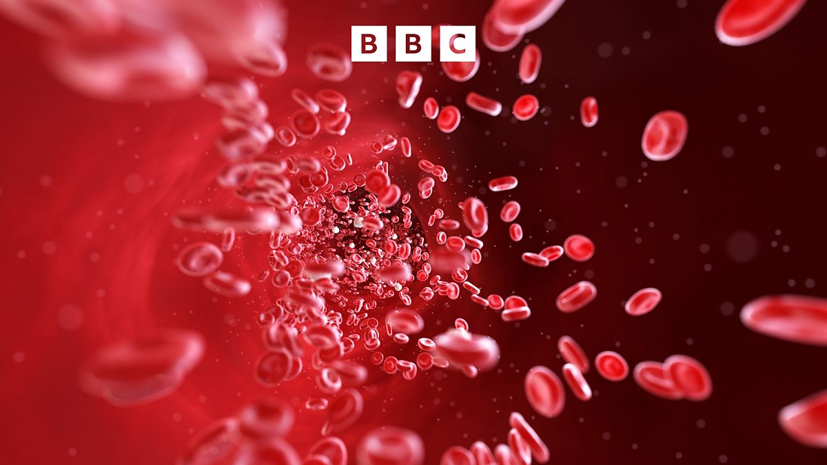 BBC - Infected blood inquiry