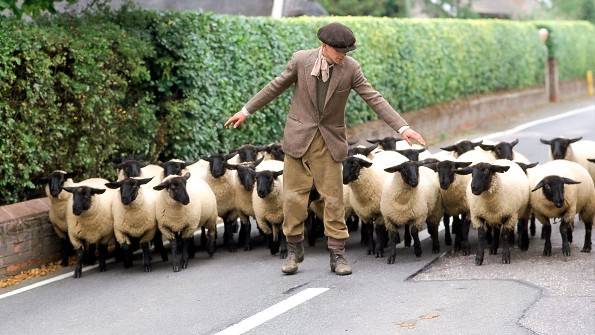 Campion - Series 1: 5. The Case of the Late Pig - Part 1 - BBC iPlayer