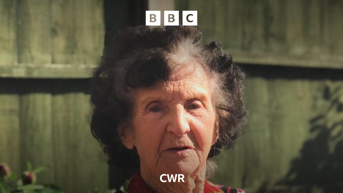BBC CWR - BBC CWR, 100 cards for Tile Hill's Elsie