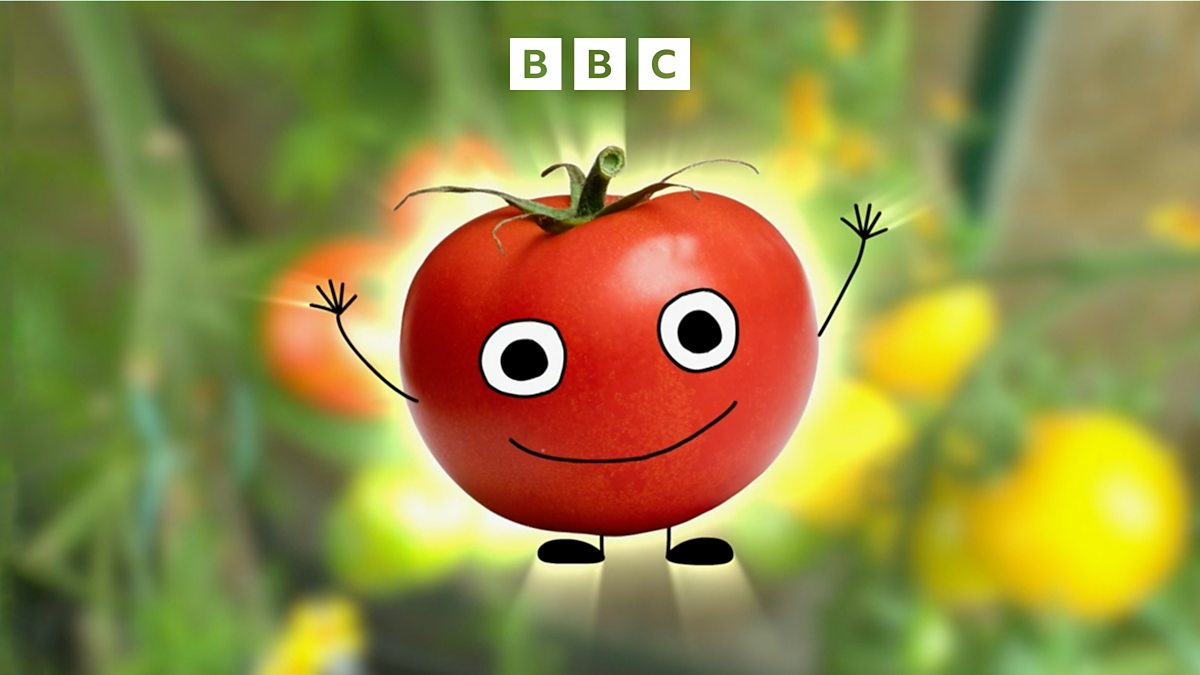 CBeebies Radio - Roots and Fruits, Tomato