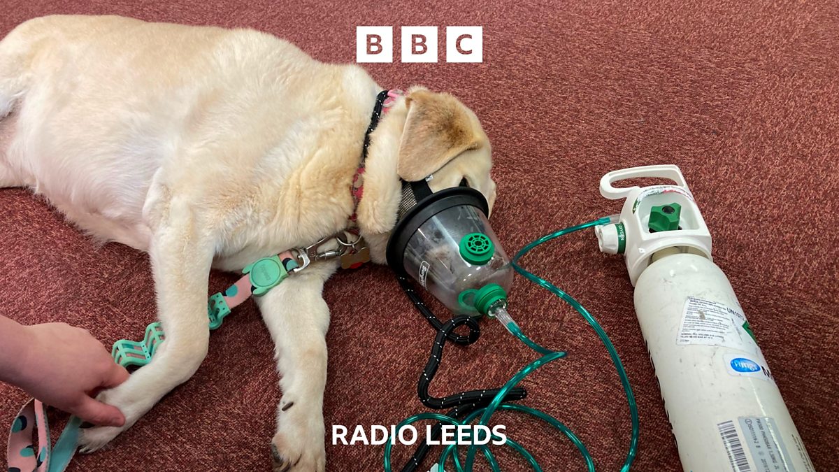 BBC Radio Leeds - BBC Radio Leeds, Huddersfield: The life saving masks ...