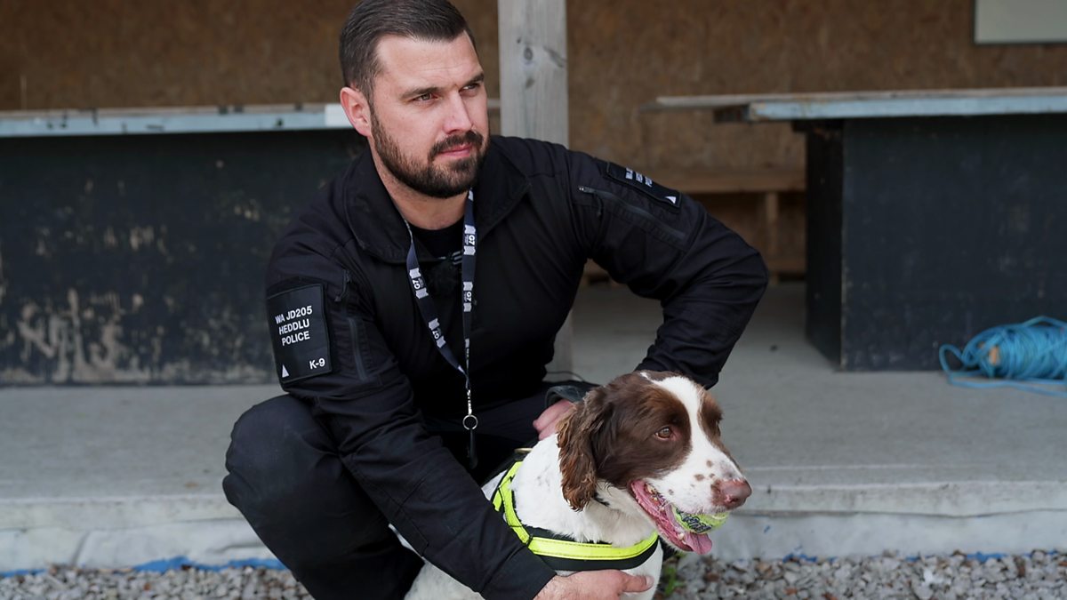 S4C - Y Llinell Las, Pennod 3