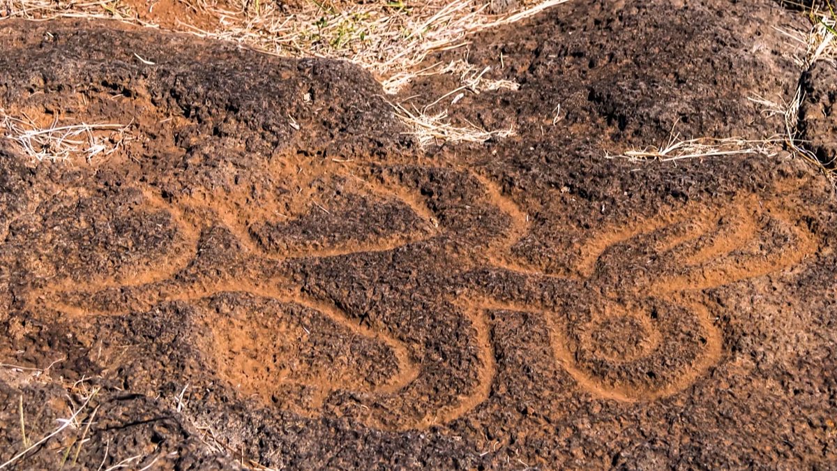 BBC Four - BBC Four Trailers, Discover secret worlds on BBC iPlayer