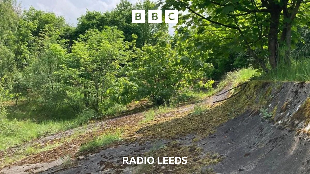 BBC Radio Leeds - BBC Radio Leeds, Bingley reservoir to become wild ...